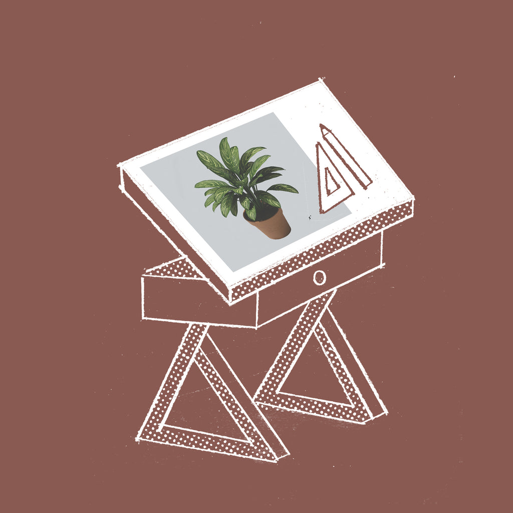 Art Comp Winners – SCRT