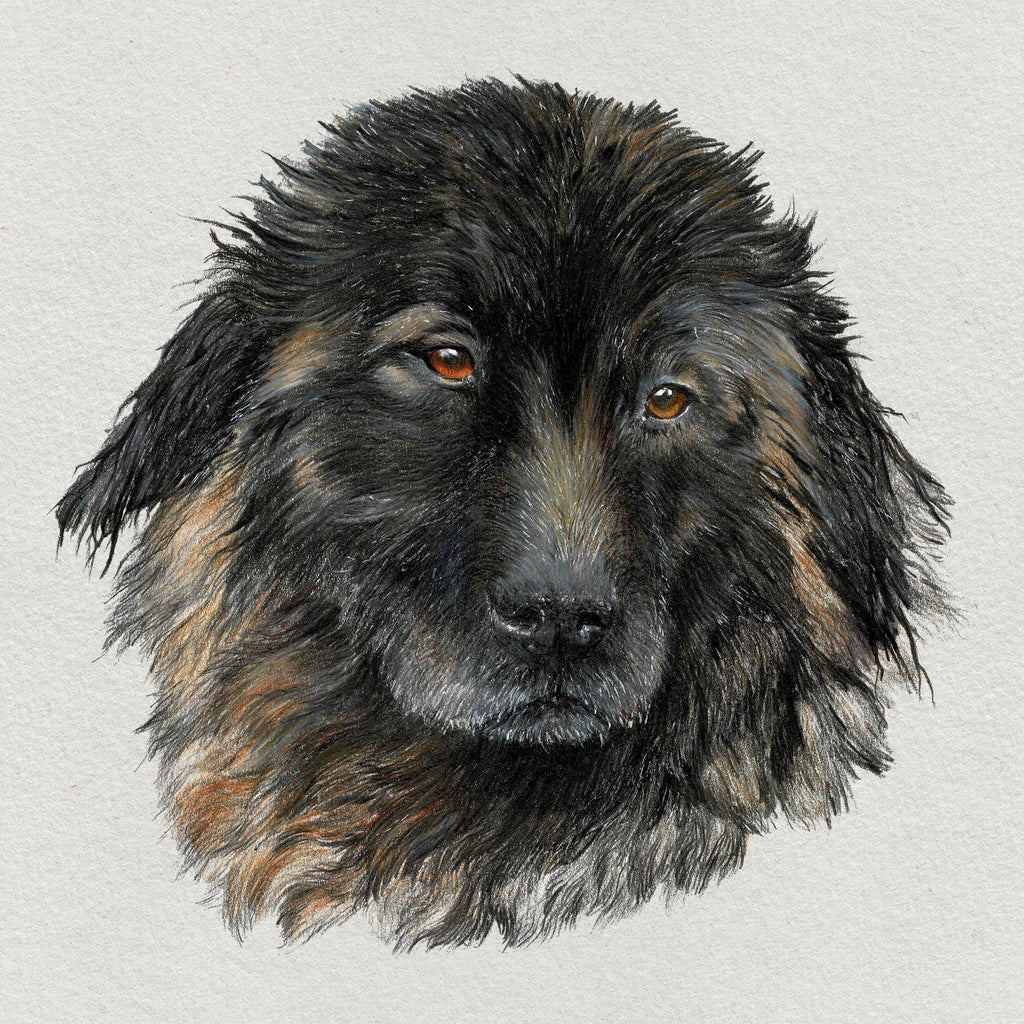 Francisco Marques – SCRT